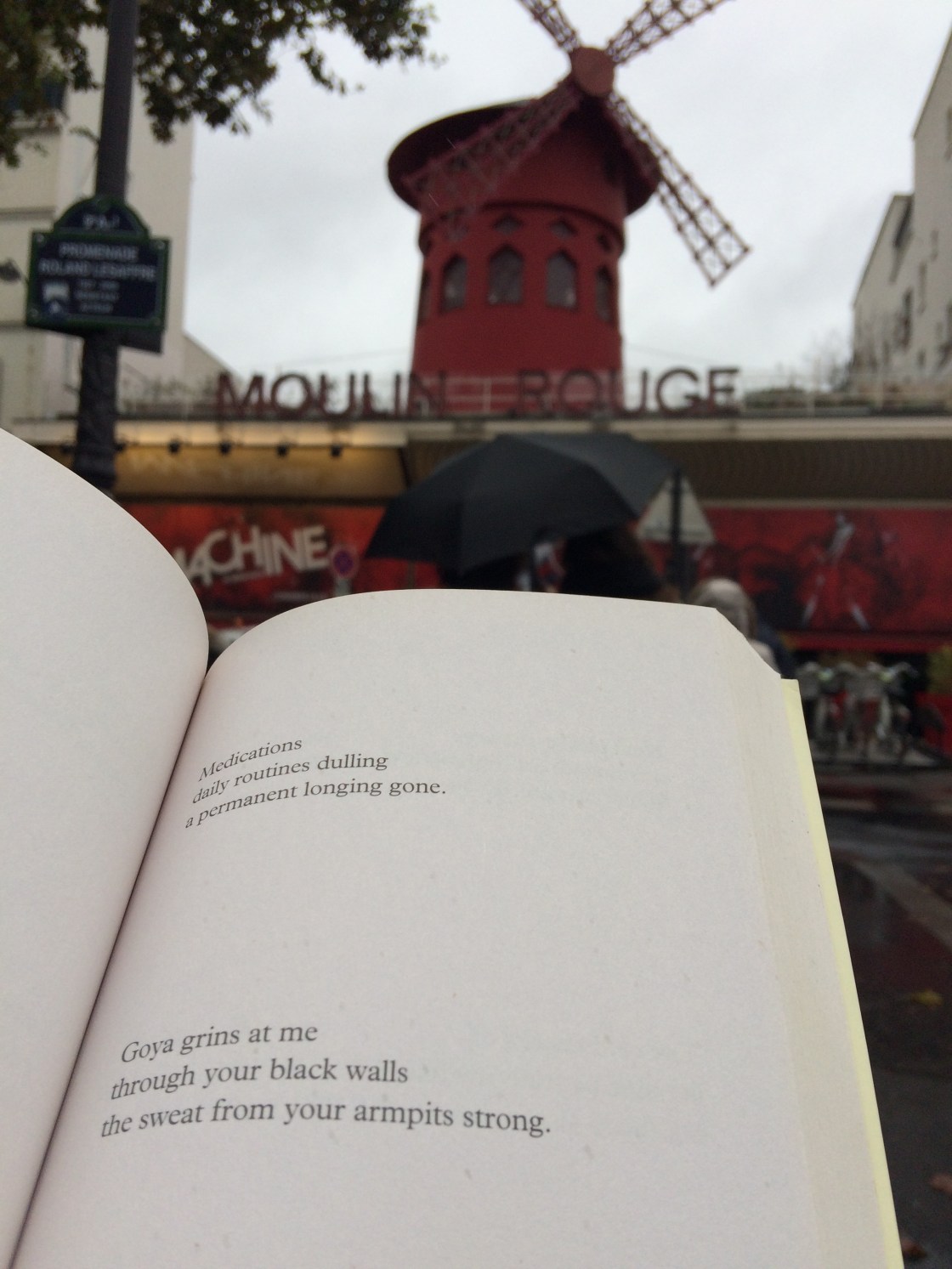 Book Review: Sexy Haiku by Nick Brooks – nothing in the rulebook