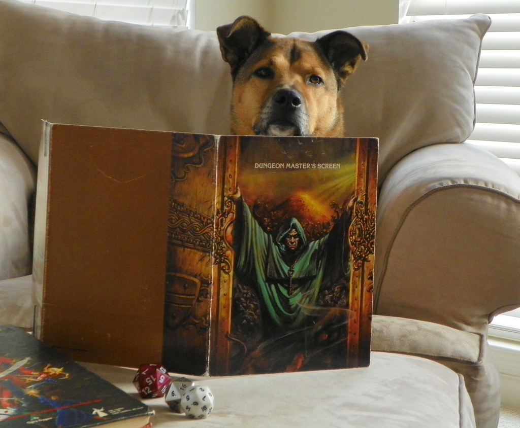 A Writer’s Guide to Dungeons & Dragons – nothing in the rulebook
